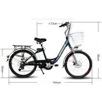 China 48V 250W 24 Inch Electric Bicycle with Battery Indicator and 7 Speed Gears for sale