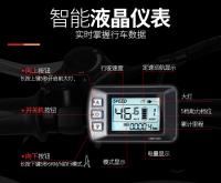 China LCD Display Integrated Wheel Electric Bike 48V 350W with Shimano 21 Speed Derailleur for sale