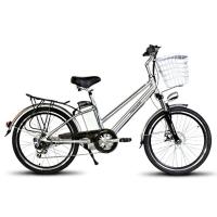 China 24 Inch Unisex Electric City Bicycle 250W 48V 10AH Lithium Battery Non-Folding for sale
