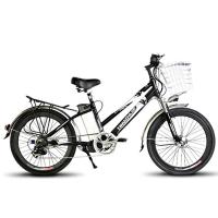China 24 Inch 48V 250W Brushless Electric Bicycle with 12AH Li-ion Battery for Adults for sale