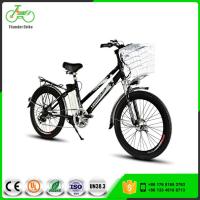 China 24 Inch 48V 250W Brushless Electric Bicycle with 12AH Li-ion Battery for Adults for sale