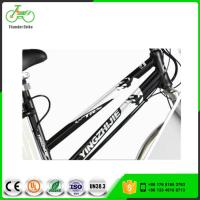 China 24 Inch 48V 250W Brushless Electric Bicycle with 12AH Li-ion Battery for Adults for sale