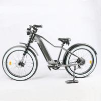 China Integrated Battery Beach Cruiser Electric Bike 26 Inch 48V 750W MTB Ebike for Adult for sale