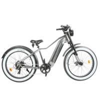 China Integrated Battery Beach Cruiser Electric Bike 26 Inch 48V 750W MTB Ebike for Adult for sale