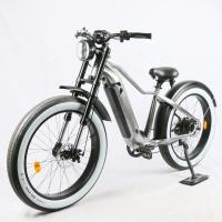 China Integrated Battery Beach Cruiser Electric Bike 26 Inch 48V 750W MTB Ebike for Adult for sale