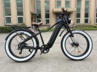 China Integrated Battery Beach Cruiser Electric Bike 26 Inch 48V 750W MTB Ebike for Adult for sale