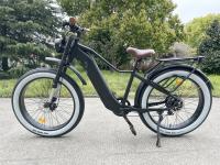 China Integrated Battery Beach Cruiser Electric Bike 26 Inch 48V 750W MTB Ebike for Adult for sale
