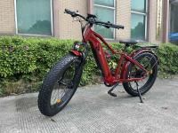 China Integrated Battery Beach Cruiser Electric Bike 26 Inch 48V 750W MTB Ebike for Adult for sale