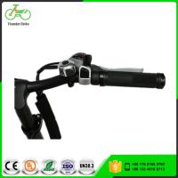 China Foldable E Bicycle with Integrated Wheel and Brushless Motor Red Black Optional 36V for sale