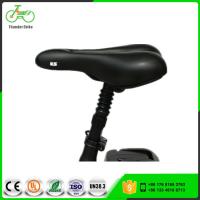 China Foldable E Bicycle with Integrated Wheel and Brushless Motor Red Black Optional 36V for sale