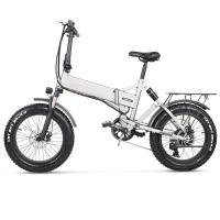 China 500W 48V Folding Electric Fat Tire Bike 20 Inch LCD Display High Torque for sale