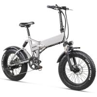China 500W 48V Folding Electric Fat Tire Bike 20 Inch LCD Display High Torque for sale