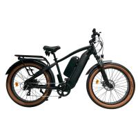 China Adult Electric Mountain Bike 26 Inch 48V 1000W Motor Long Range Aluminium Alloy Ebike for sale