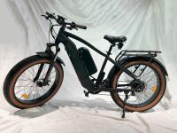 China Adult Electric Mountain Bike 26 Inch 48V 1000W Motor Long Range Aluminium Alloy Ebike for sale
