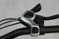 China Aluminum Alloy 20 Inch Folding Electric Bike 250W 8fun Motor 36V10Ah Lithium Battery for sale