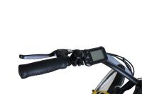 China 26 Inch 500W 48V Beach Cruiser Electric Bike with Double Disc Brakes and LCD Display for sale
