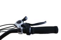 China 26 Inch 500W 48V Beach Cruiser Electric Bike with Double Disc Brakes and LCD Display for sale