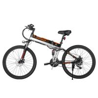 China 48V 26 Inch Mountain Style Electric Bike with 250W Motor and 48V10.4Ah Battery for Men and Women for sale