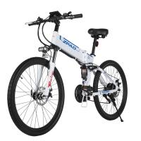 China 48V 26 Inch Mountain Style Electric Bike with 250W Motor and 48V10.4Ah Battery for Men and Women for sale