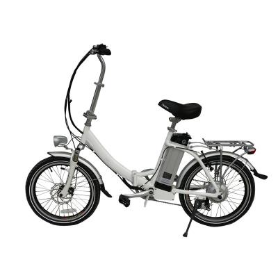 China Electric Bike 36V 10Ah Down Tube Battery 250W 500W Motor 20 Inch Tire CE RoHS for sale