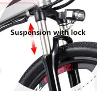 China 48V 350W Electric Bike with 48V12.8Ah Hidden Battery and Disc Brake Aluminium Alloy Frame for sale