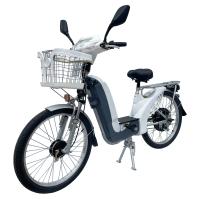 China 48V 350W Rear Hub Electric Bicycle 24 Inch Single Speed E Bike with LCD Display for sale