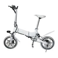 China Australian Standard 36V 250W Electric Bike with CE Certificate and Single Derailleur for sale