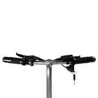 China Australian Standard 36V 250W Electric Bike with CE Certificate and Single Derailleur for sale