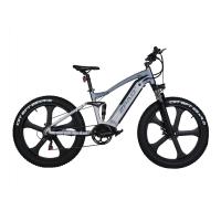 China Weldless Frame Electric Fat Tire Bike 750W 26 Inch Full Suspension 48V 14Ah E Bike for sale