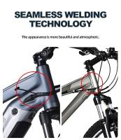 China Weldless Frame Electric Fat Tire Bike 750W 26 Inch Full Suspension 48V 14Ah E Bike for sale