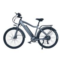 China 500W 48V Electric Mountain Bike 17Ah Battery 7 Speed Disc Brake Adult E Bike for sale