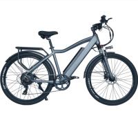 China 500W 48V Electric Mountain Bike 17Ah Battery 7 Speed Disc Brake Adult E Bike for sale