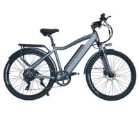 China 500W 48V Electric Mountain Bike 17Ah Battery 7 Speed Disc Brake Adult E Bike for sale
