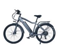 China 500W 48V Electric Mountain Bike 17Ah Battery 7 Speed Disc Brake Adult E Bike for sale