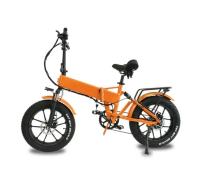 China 20 Inch 750W Fat Tire Folding Ebike 7 Speed with 48V 16Ah Lithium Battery LCD Display for sale