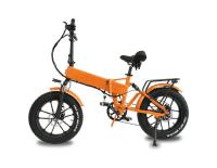 China 20 Inch 750W Fat Tire Folding Ebike 7 Speed with 48V 16Ah Lithium Battery LCD Display for sale