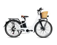 China 26 Inch 36V 250W Rear Hub Electric Bike with Disc Brakes and 7 Speed Gears for sale