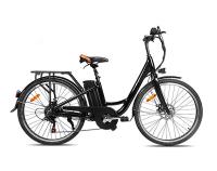 China 26 Inch 36V 250W Rear Hub Electric Bike with Disc Brakes and 7 Speed Gears for sale