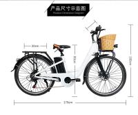 China 26 Inch 36V 250W Rear Hub Electric Bike with Disc Brakes and 7 Speed Gears for sale