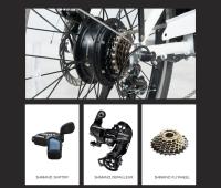 China 26 Inch 36V 250W Rear Hub Electric Bike with Disc Brakes and 7 Speed Gears for sale