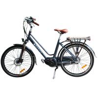 China 36V 250W 26 Inch Mid Drive Electric Bike with Shimano Nexus 3 Speed Gears for sale