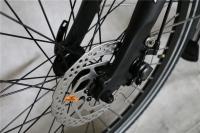 China 36V 250W 26 Inch Mid Drive Electric Bike with Shimano Nexus 3 Speed Gears for sale