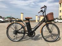 China 36V 250W Electric Folding Bike 26 Inch with 10AH Lithium Battery CE RoHS for sale