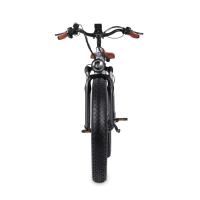 China 48V 17.5Ah LG Battery Retro Electric Bike 1000W Motor Front Suspension 26x4.0 Fat Tire for sale