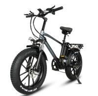 China 48V 18Ah Lithium Battery Electric Hybrid Bike 750W 20 Inch Fat Tire Mountain Ebike for Adult for sale