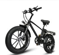 China 48V 18Ah Lithium Battery Electric Hybrid Bike 750W 20 Inch Fat Tire Mountain Ebike for Adult for sale