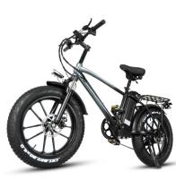 China 48V 18Ah Lithium Battery Electric Hybrid Bike 750W 20 Inch Fat Tire Mountain Ebike for Adult for sale