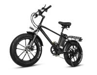 China 48V 18Ah Lithium Battery Electric Hybrid Bike 750W 20 Inch Fat Tire Mountain Ebike for Adult for sale