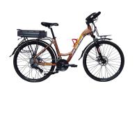 China 24 Speed Electric Bicycle 250W 26 Inch E Bike with 48V 10Ah Lithium Battery for sale