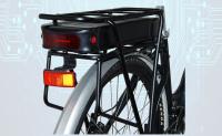 China 24 Speed Electric Bicycle 250W 26 Inch E Bike with 48V 10Ah Lithium Battery for sale